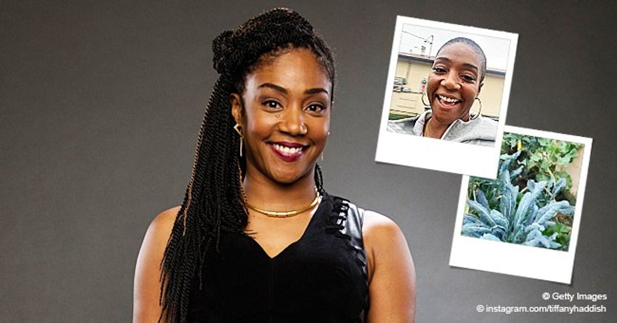 Watch Tiffany Haddish Proudly Reveal Her Garden Boxes as She Shares ...