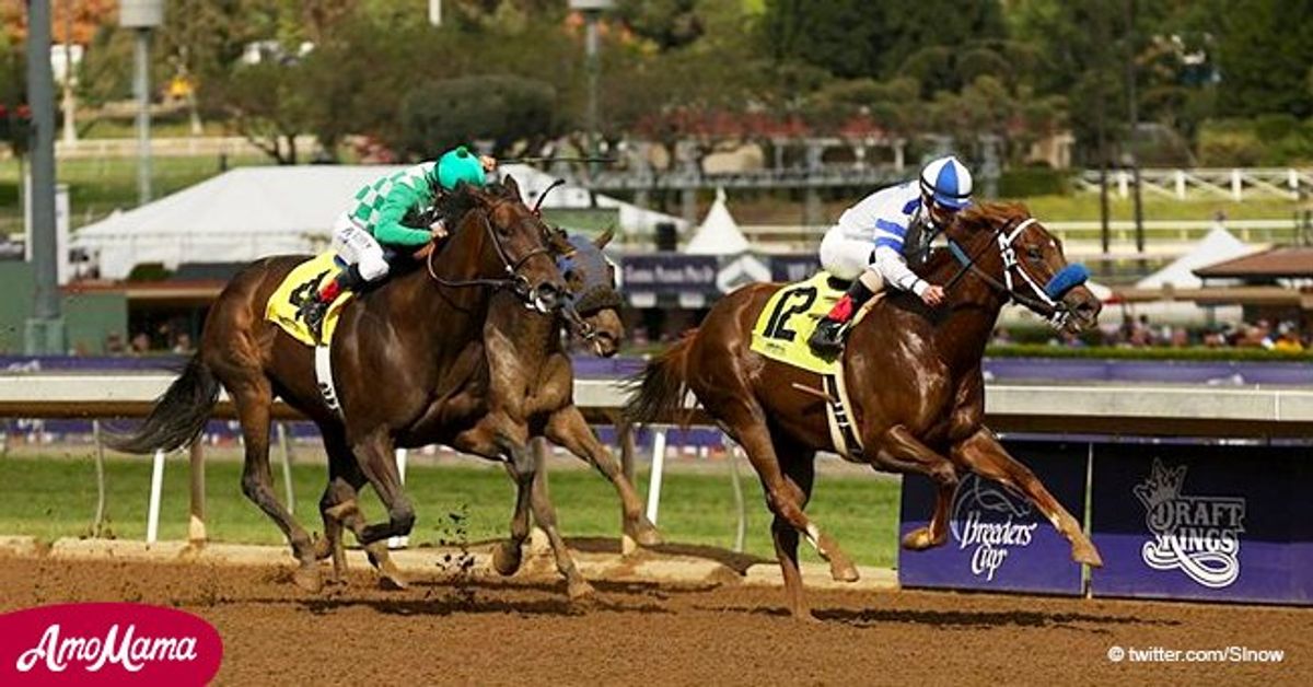 Another Horse Dead after Training at CA Track, Marking the 22nd Horse ...