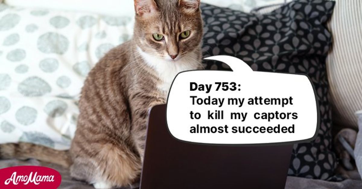 Daily Joke: Cat Keeps a Diary of His Carefree Life