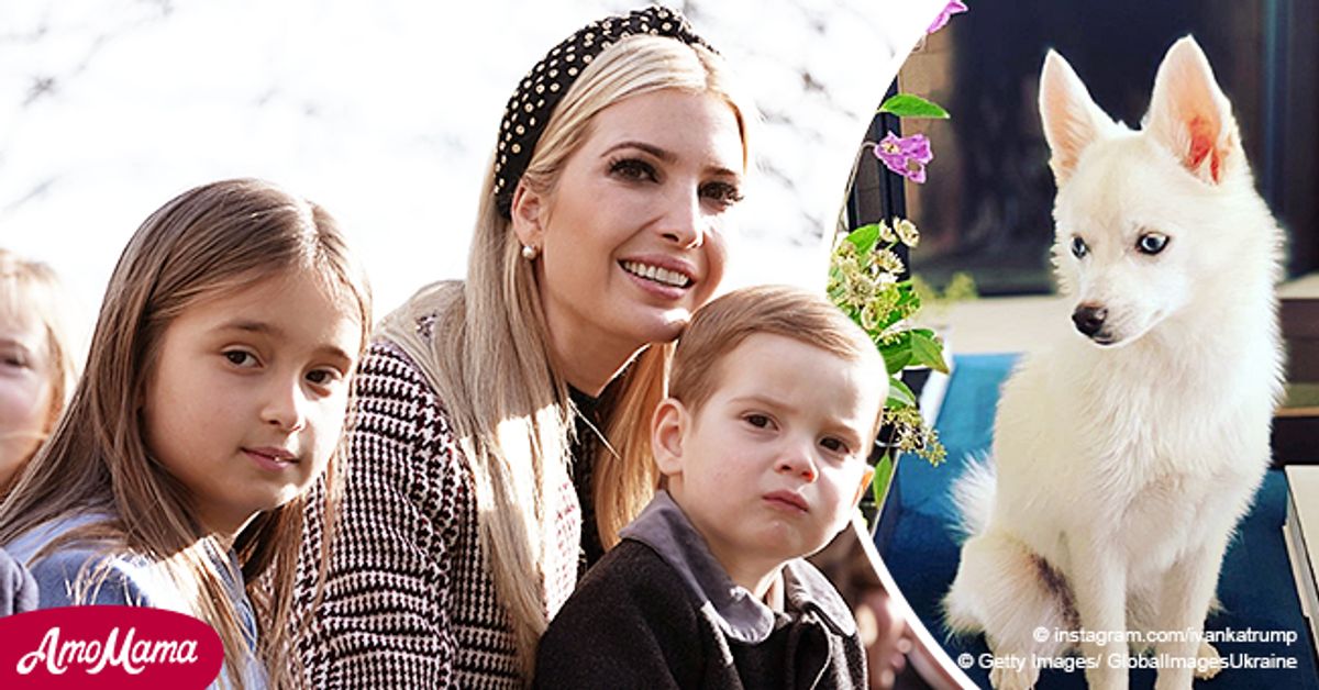 Ivanka Trump Gifts Her Daughter Arabella with a Dog Named Winter