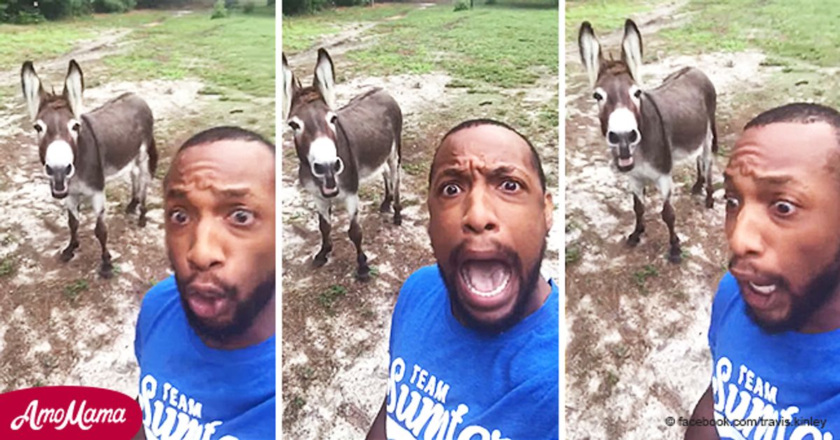 Man Sings ‘The Lion King’ Song with His Donkey and It's Pure Gold