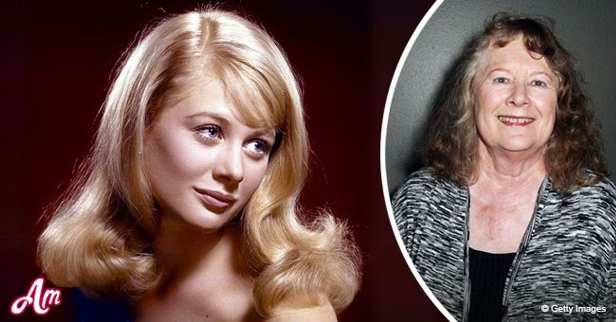 'Sweet Bird of Youth' Star Shirley Knight — What We Remember the ...