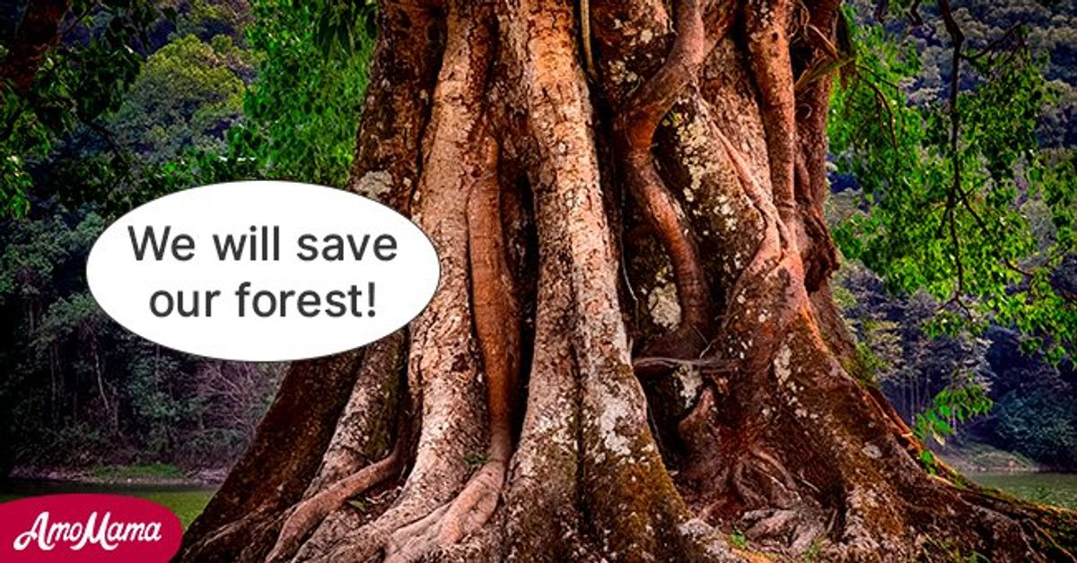 Daily Joke: Wise Old Tree Gives Advice to Forest Animals So They Can ...
