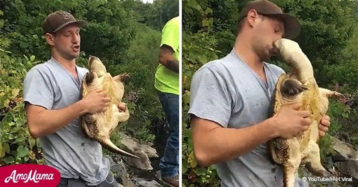 Angry snapping turtle gives man a nasty bite on the lip for trying to ...