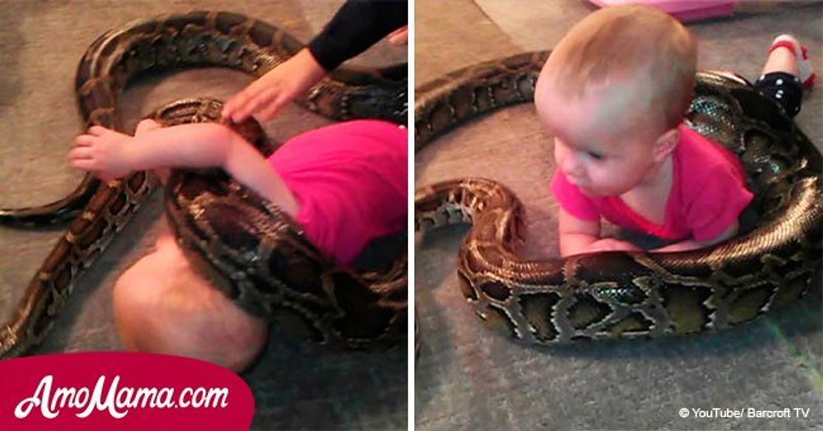 A giant snake wraps around a child, but the father does nothing and ...
