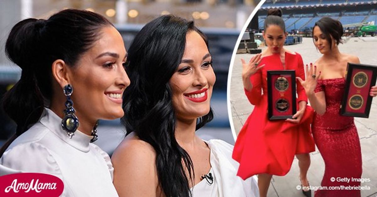 'Total Bellas' Stars Nikki & Brie Bella Don Red Gowns as They Receive ...