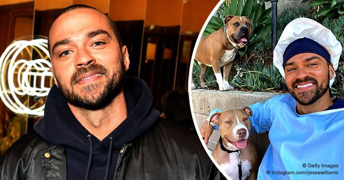 'Grey's Anatomy' Star Jesse Williams Melts Hearts as He Smiles with ...