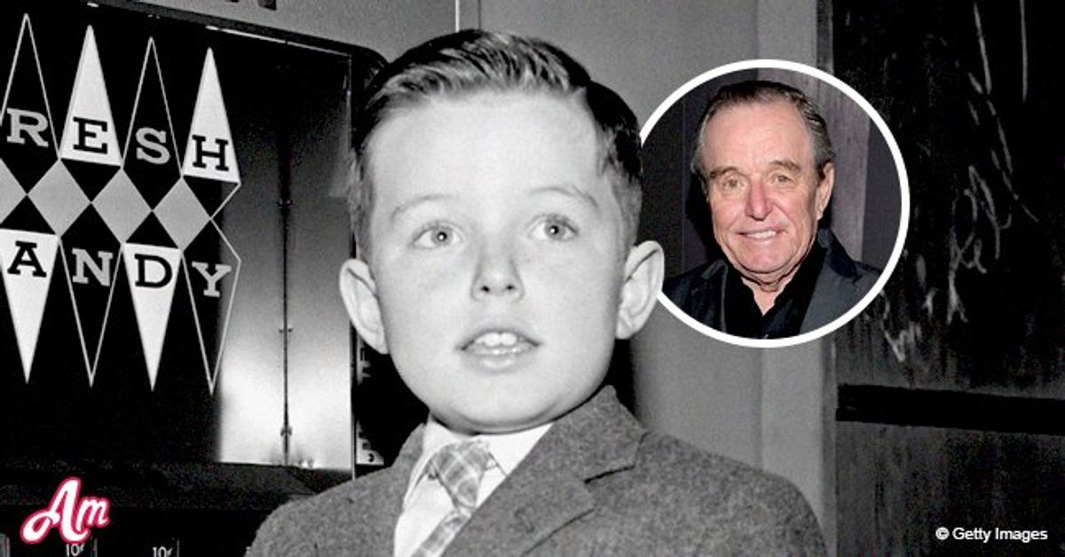 Ups and Downs of ‘Leave It to Beaver’ Star Jerry Mathers after the ...