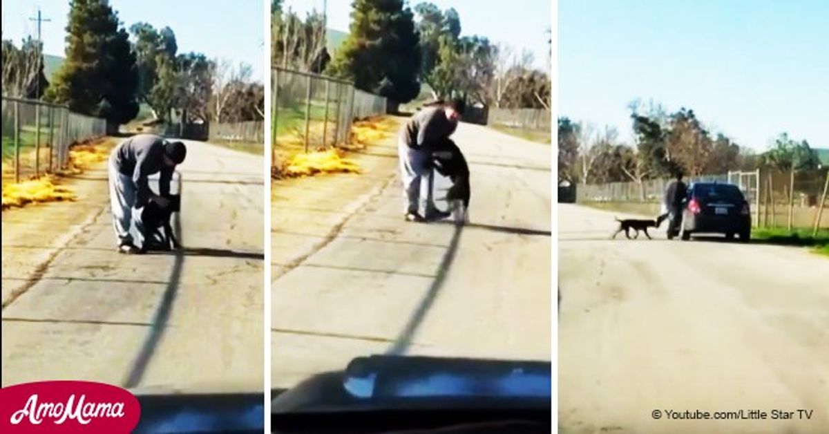 Outraged driver filmed the moment a dog owner pushes his pet away as he ...