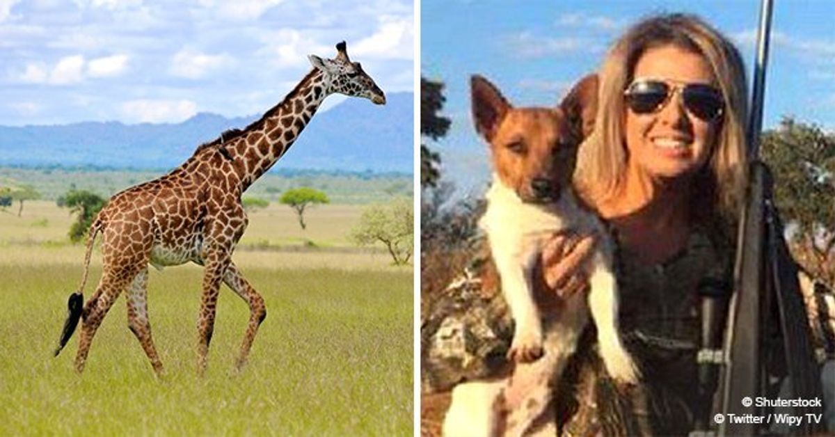 Woman who shared photos of herself with rare black giraffe she killed ...