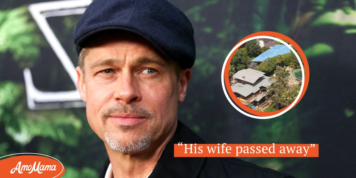 Brad Pitt Let Old Widower Live In His $40M LA Home until His Death at ...