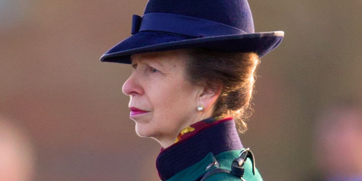 'Oh Goodness You Can See the Bruising': Princess Anne's Look in First ...