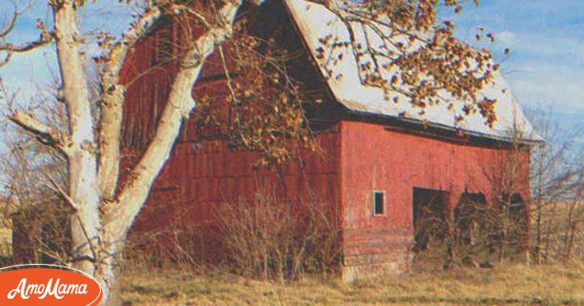 Old Lady Goes to Live With Her Son and Finds Herself Locked in the Barn ...