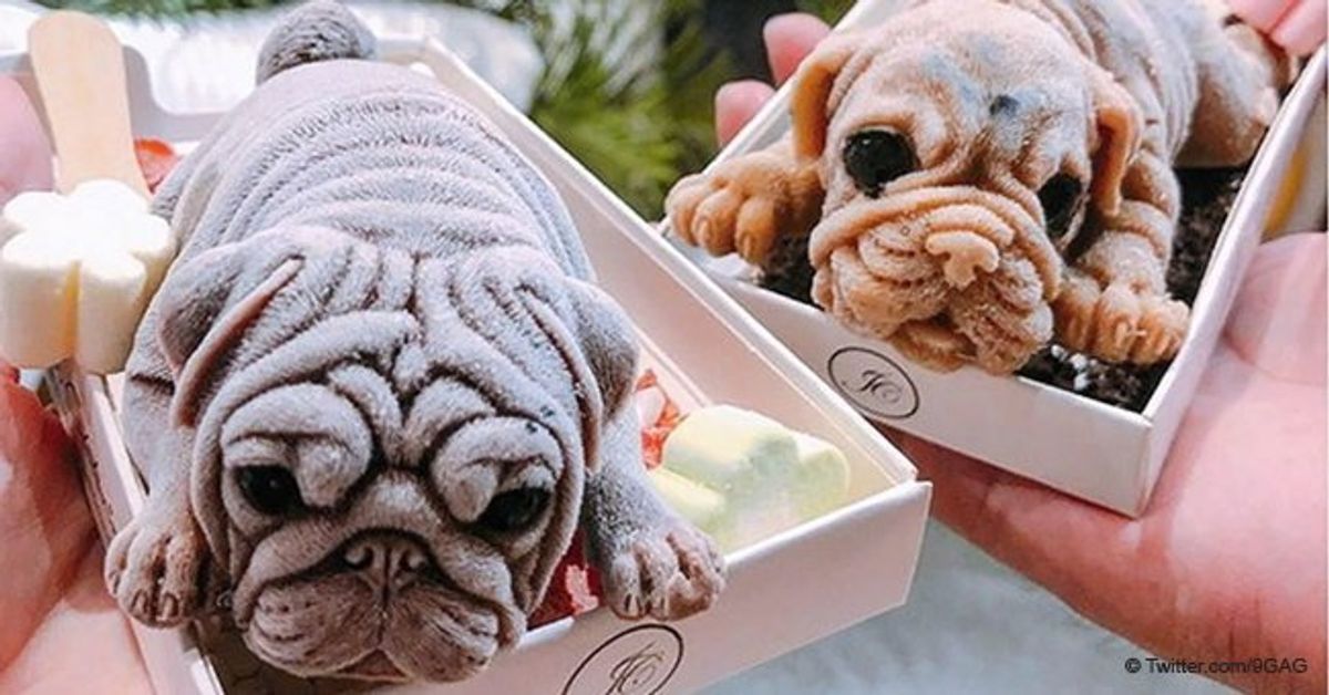 Ice cream puppies is the disturbing yet delicious trend that has the ...