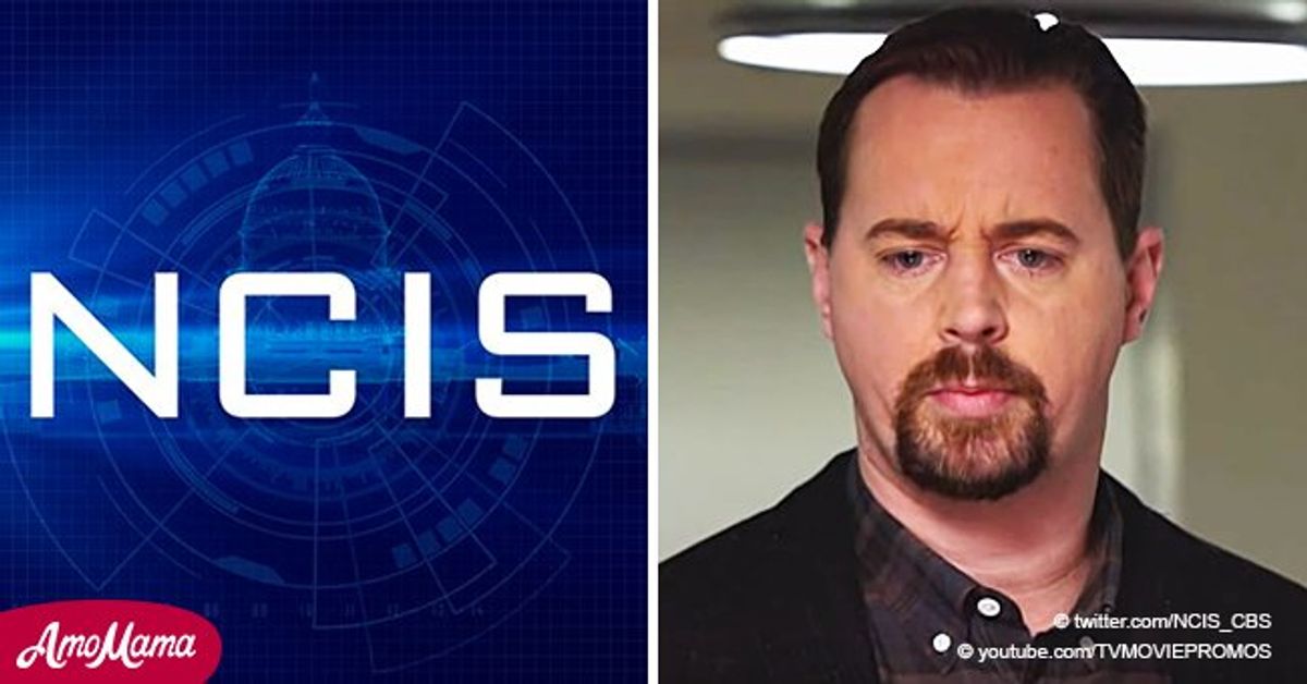 There Are Now Rumors Swirling around That Timothy McGee May Be Leaving NCIS