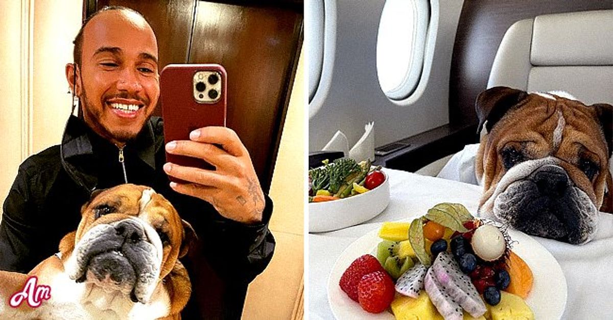 F1 Star Lewis Hamilton Sparks Heated Debate after Sharing His Dog's ...