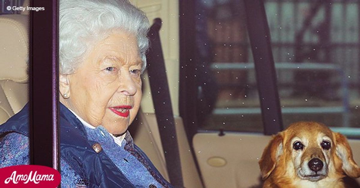 Queen Elizabeth Leaves London with Her Pet Dog and Heads to Windsor for ...