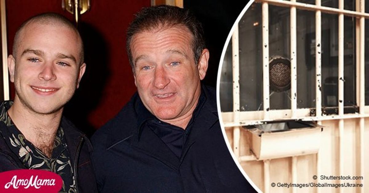 Robin Williams' son is all grown up now and makes a name for himself in ...