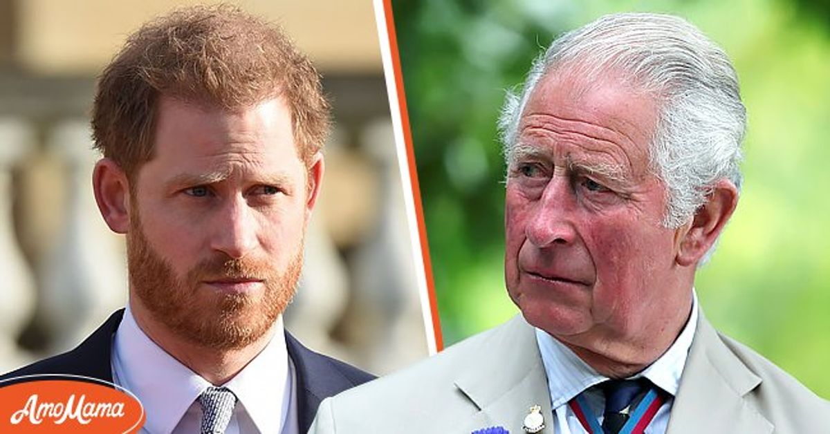 Prince Harry's Family Ignored His Calls & Said He Was 'Oversensitive ...