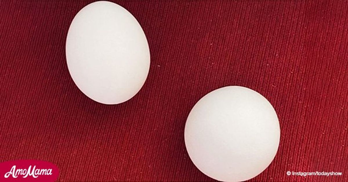 College Students Found Perfectly Round Egg That Is Now a Viral ...