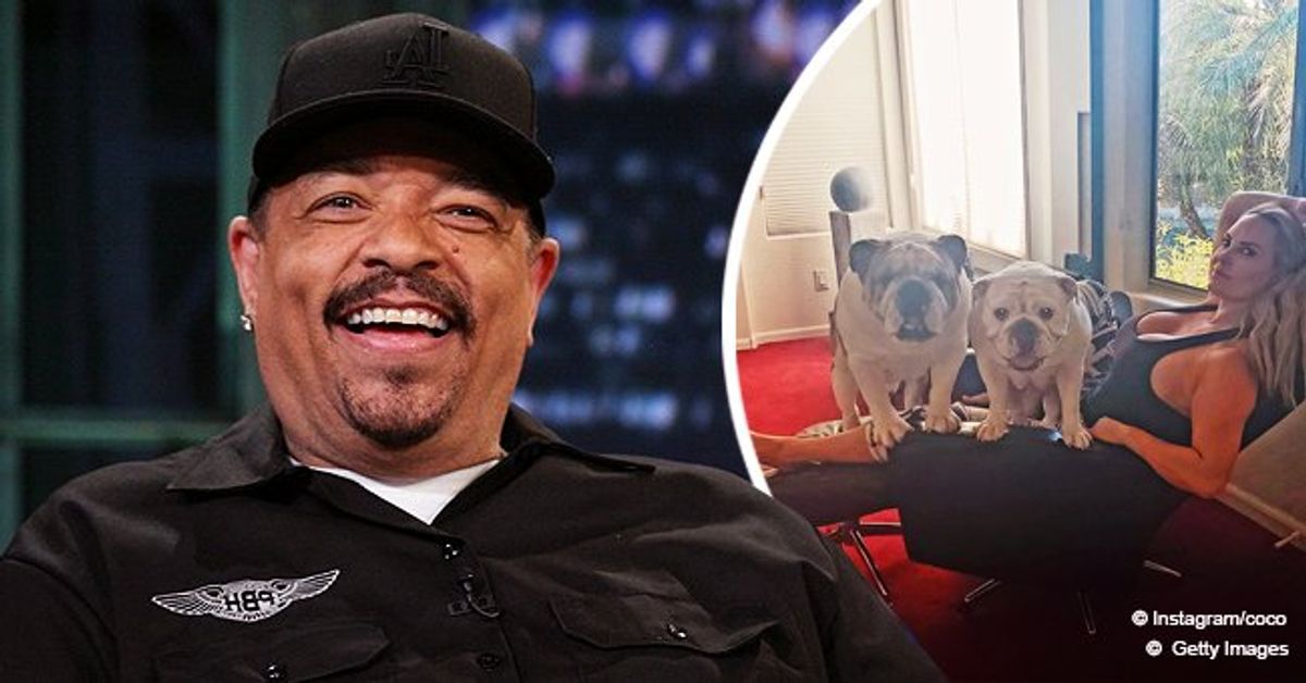 See How Coco Austin's Dogs Disrupted Her Chill Time at Home in a New Photo