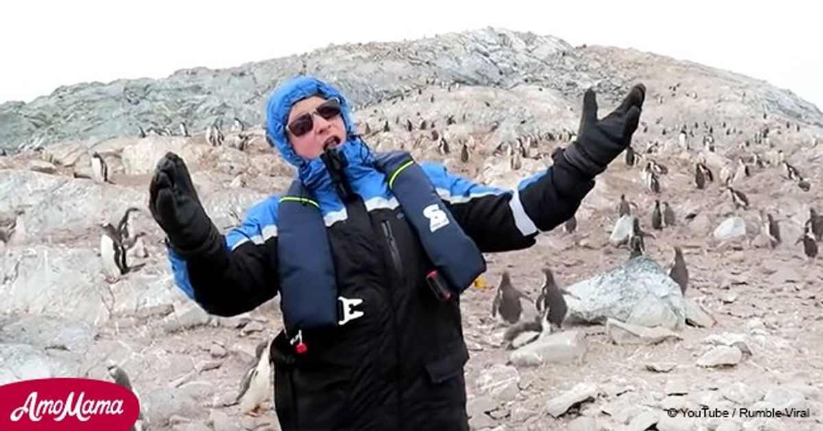 Professional singer starts singing next to penguins and their reaction ...