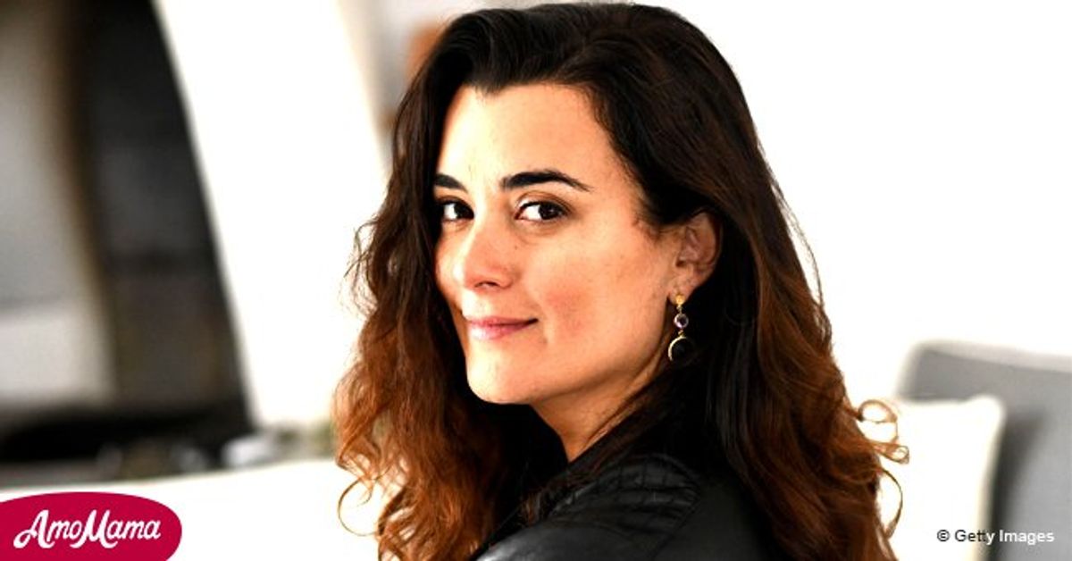 NCIS Fans Want Ziva David to Return after She Was Last Seen in Season ...