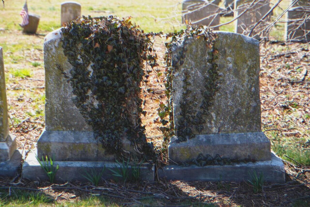 Adults Ignore Grandpa’s Overgrown Tomb, Boy Cleans It and Finds ...