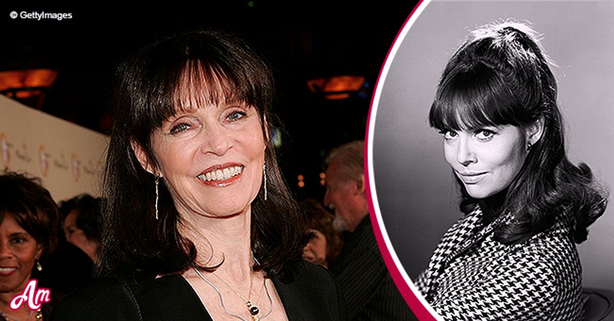 Barbara Feldon’s Life after Starring in the Hit Comedy Series 'Get Smart'