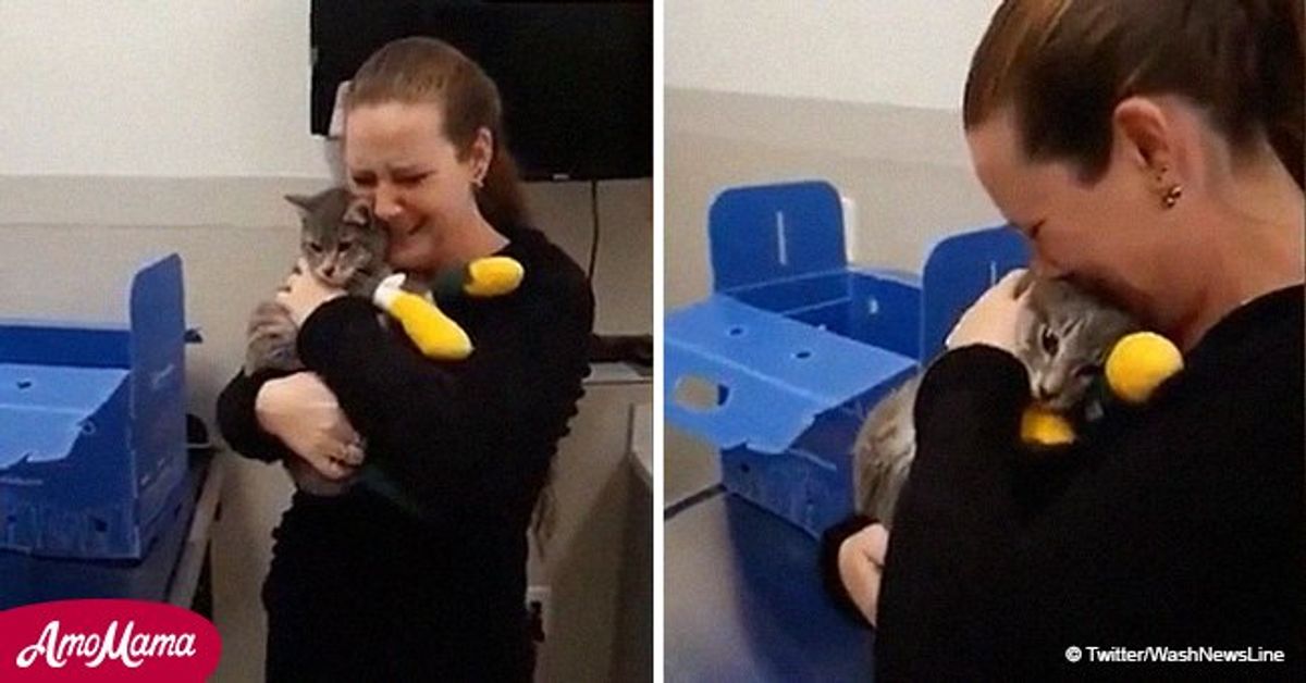 Pet owner bursts into tears reuniting with her cat lost in the ...