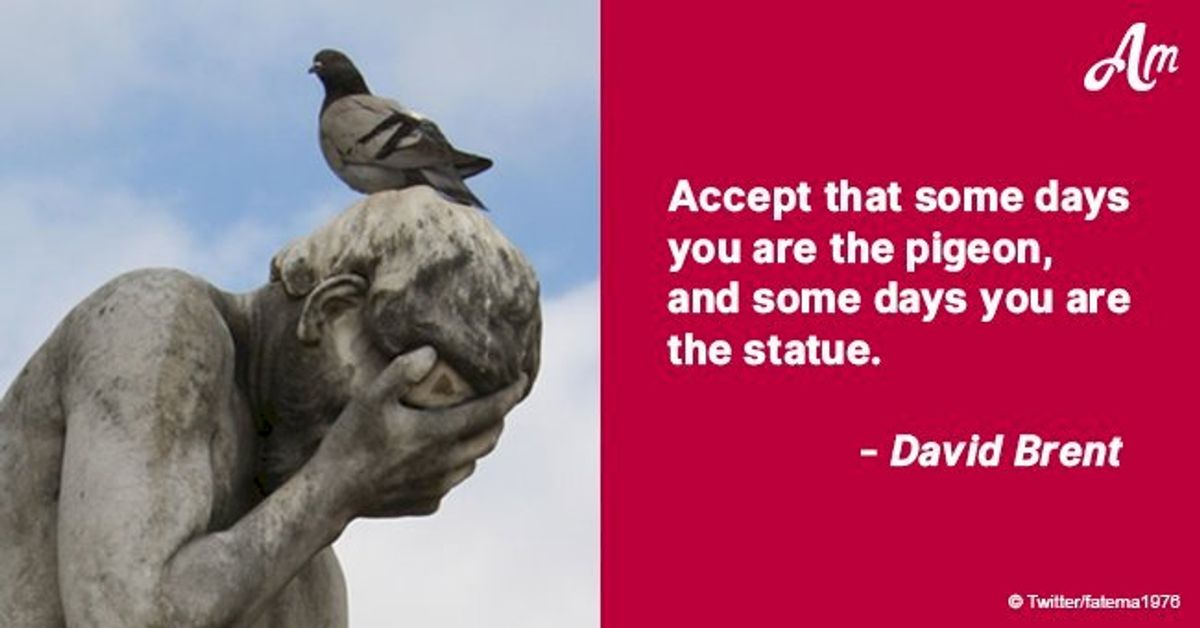 20 funny quotes about life you'd certainly like to keep in mind