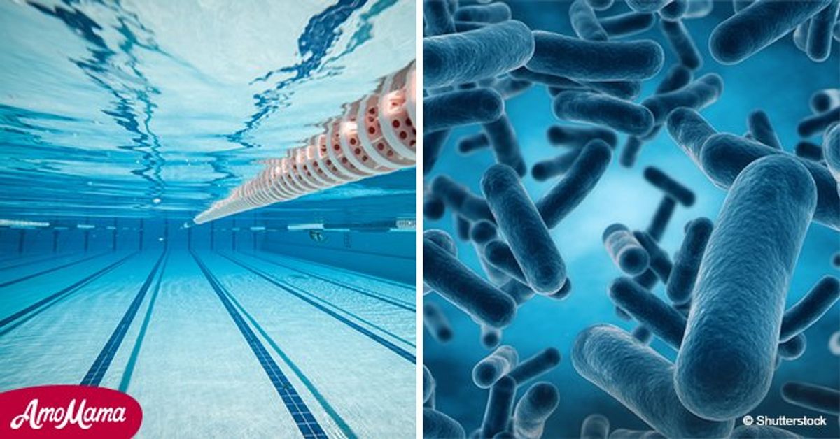 Dangerous parasites and bacteria may be lurking in public pools, study ...