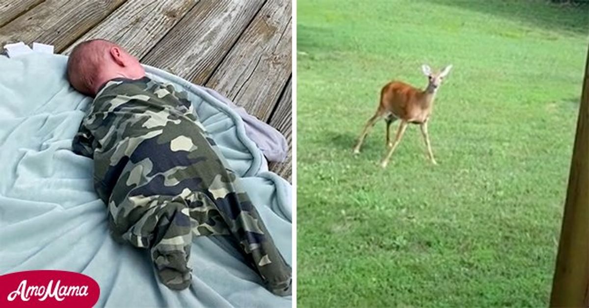 Deer Leaves Forest to Check On Crying Baby on a Woman's Porch