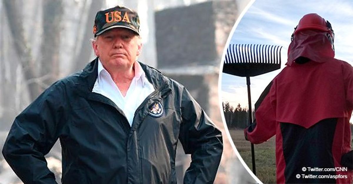 Trump sparks debate after telling officials to do 'more raking and ...