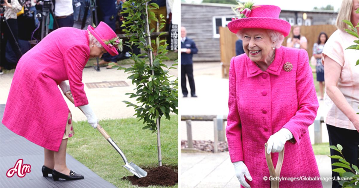 Queen Elizabeth Refuses Help and Insists She's 'Perfectly Capable of ...