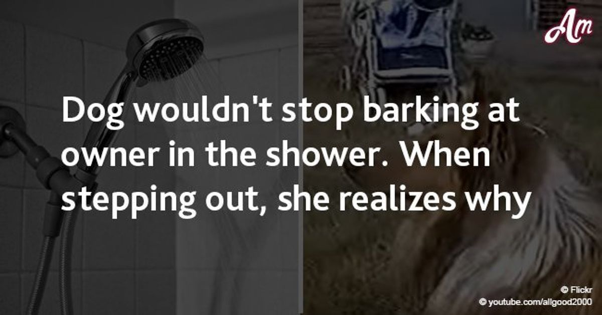 Dog wouldn't stop barking at owner in the shower. When stepping out ...
