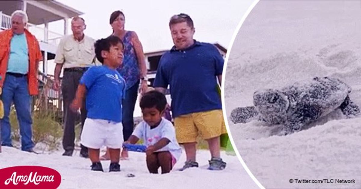 Video of 'The Little Couple' kids playing with sea turtles on family ...