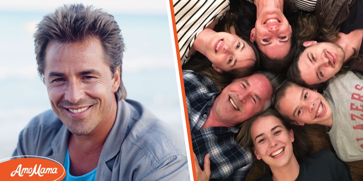 Don Johnson Got Sober after Seeing 'Horror' on His Child's Face – At 73 ...