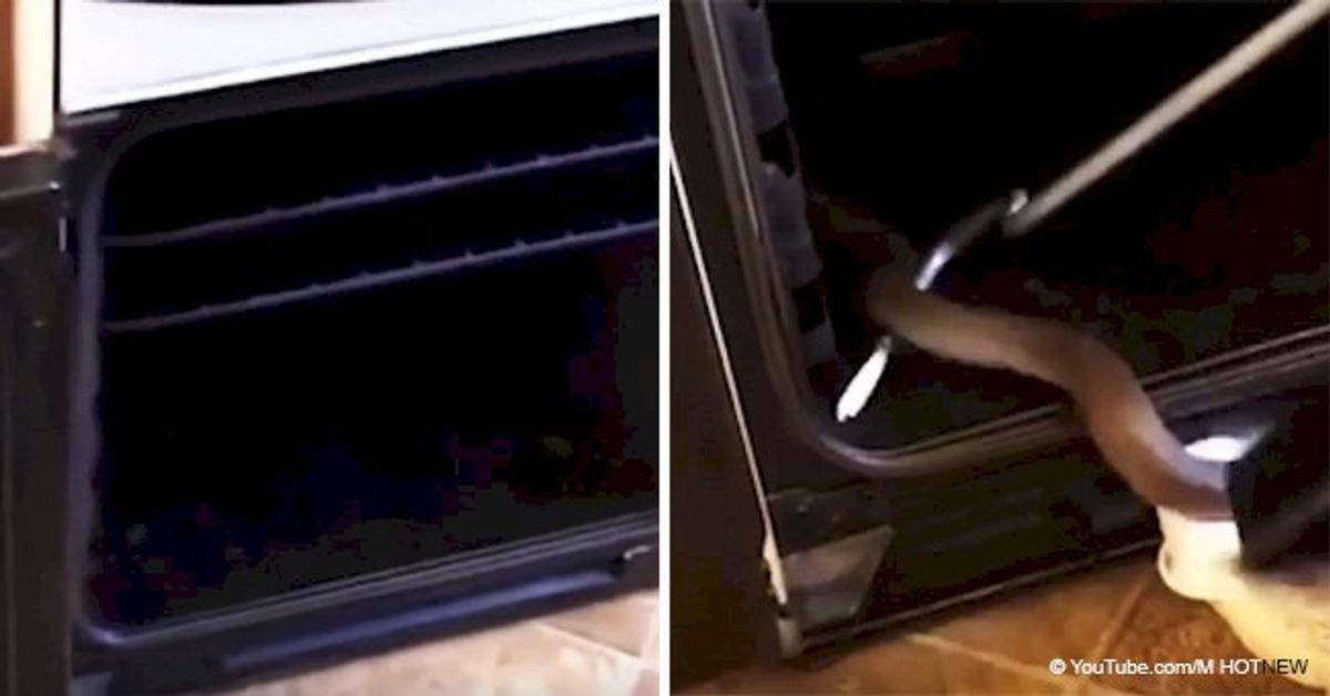 Old woman opens the oven to bake some chips and finds a sneaky creature ...