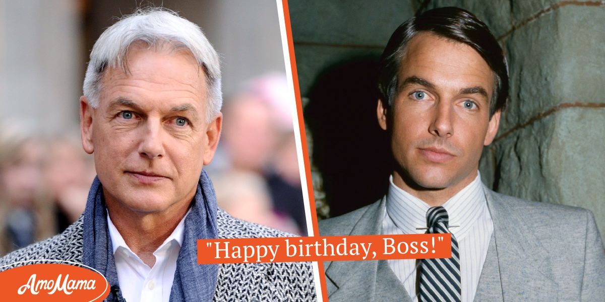 Mark Harmon Is Real-Life Hero Who Rescued 2 Teens – He Still Stays ...