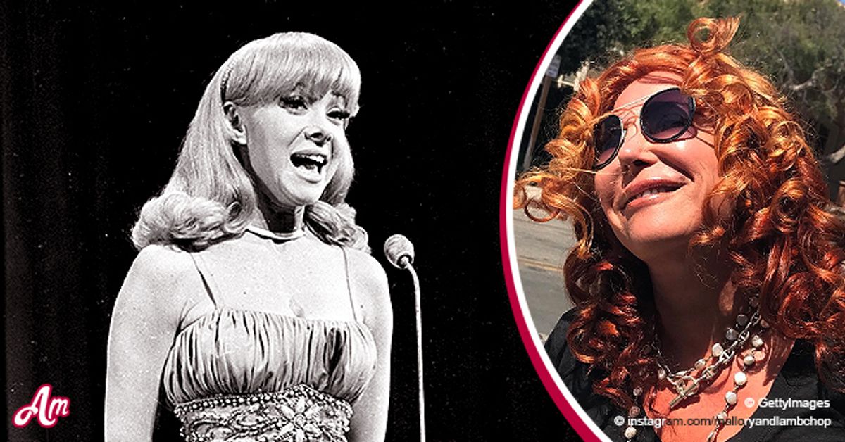 Meet 'Lamp Chop' Star Shari Lewis' Daughter Mallory Who Is a ...