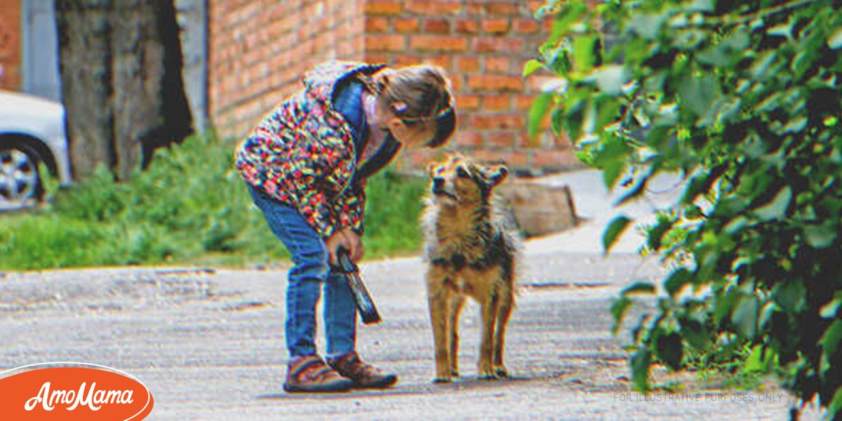 Poor Girl Living in Tent Shelters Sick Stray Dog, Month Later Pet Leads ...