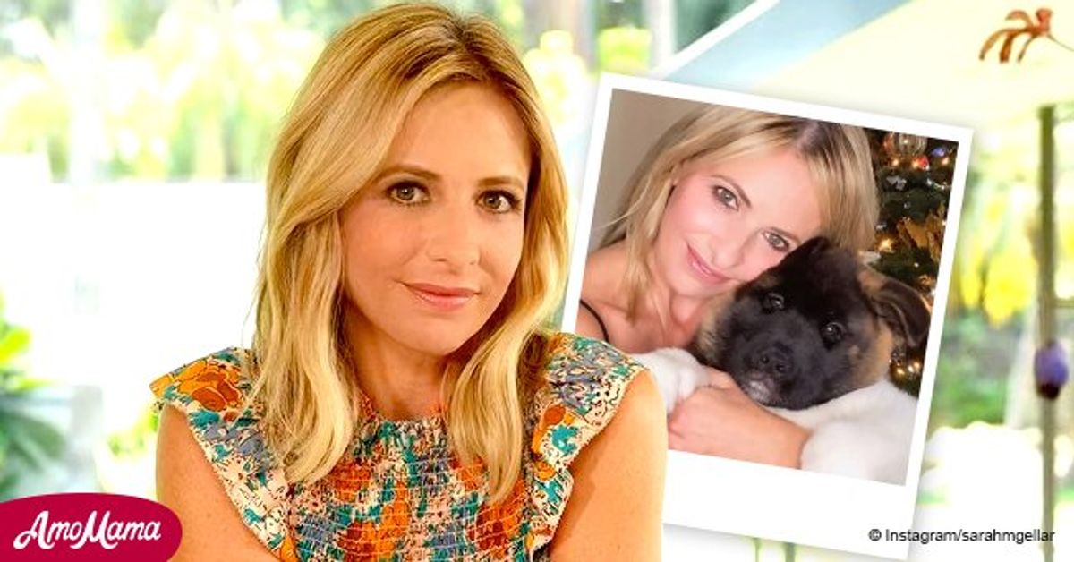 Sarah Michelle Gellar Reveals Best Present She Got under Her Tree — So ...