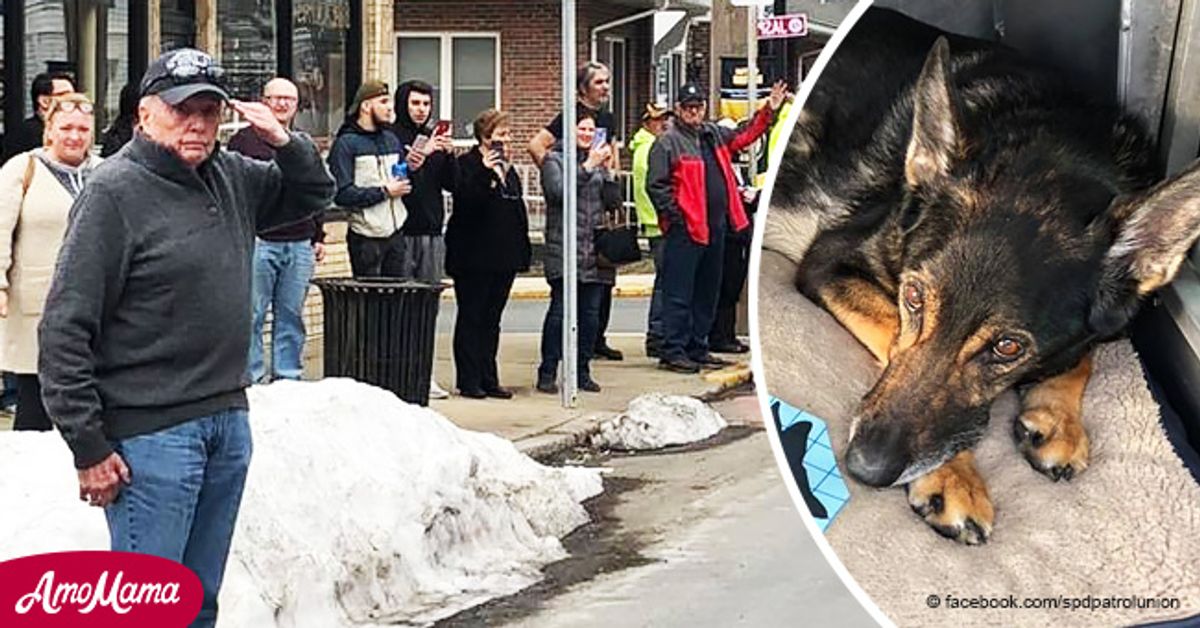 Loyal Police Dog Takes One Last Walk before Being Put down and the ...