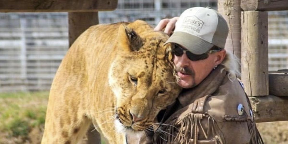 'Tiger King' Star Joe Exotic, 61, Gets Engaged to Fellow Inmate, 33 ...
