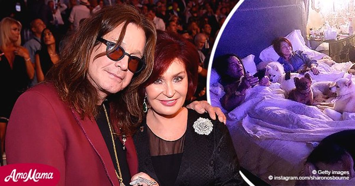 Sharon Osbourne Shares Photo with Husband Ozzy and Their 8 Dogs on ...