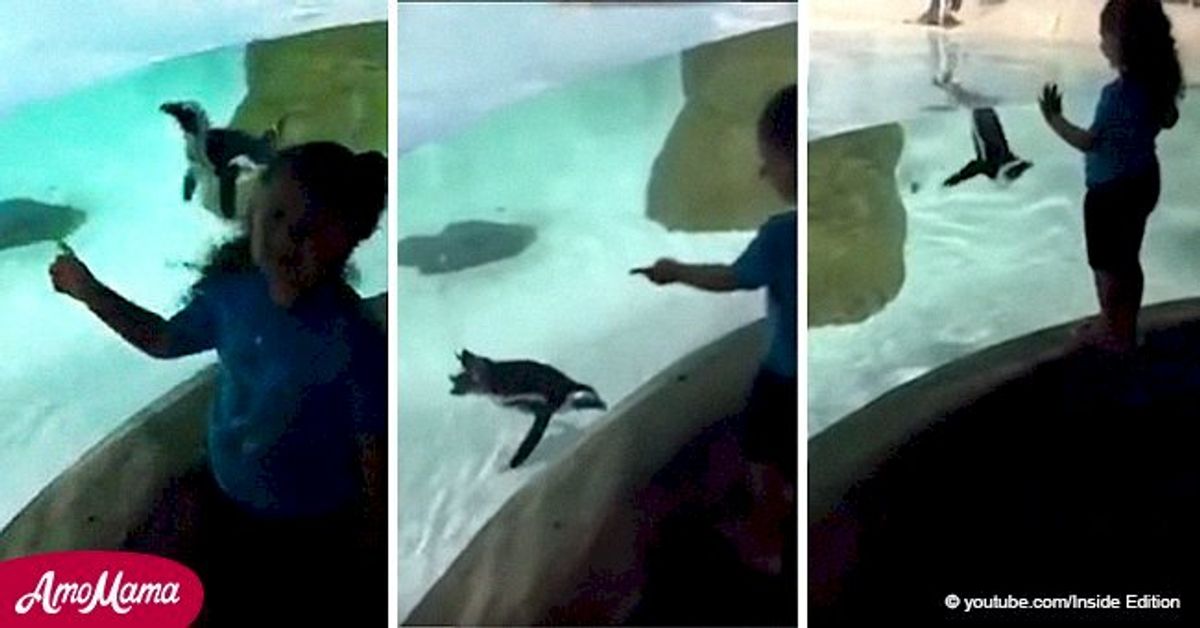 5-year-old girl plays with a penguin like they are best friends