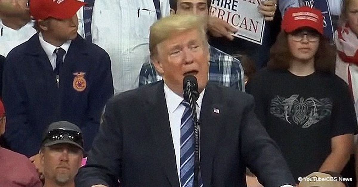 'Plaid shirt guy' becomes a viral sensation during Donald Trump’s rally