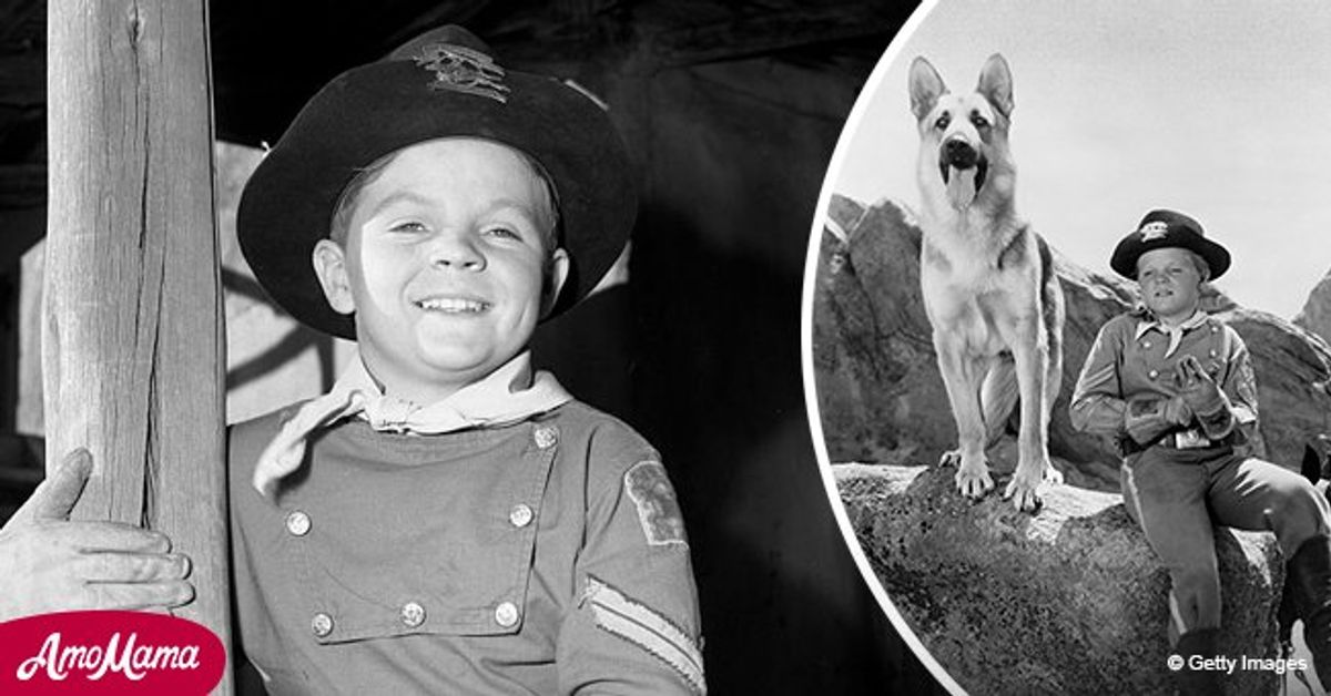'The Adventures of Rin Tin Tin' Child Star Lee Aaker Died Aged 77 Alone ...