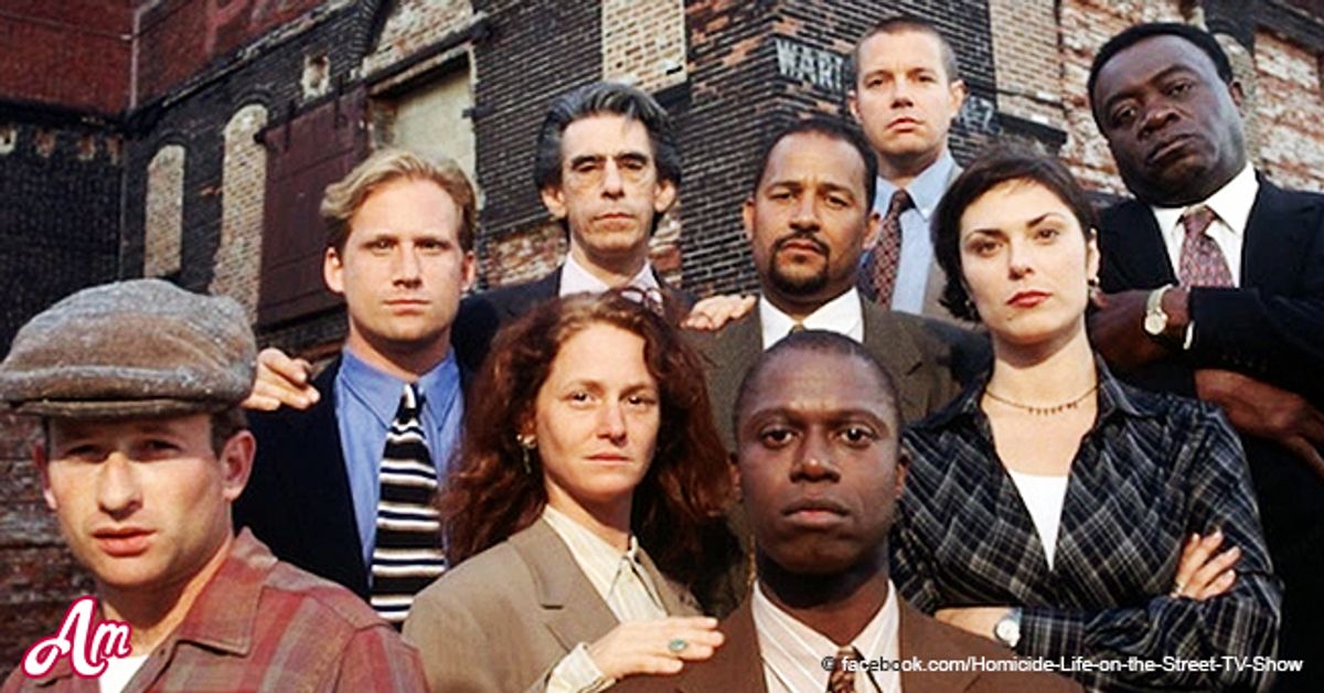 'Homicide: Life on the Street' Cast Now, 20 Years after the Show Ended